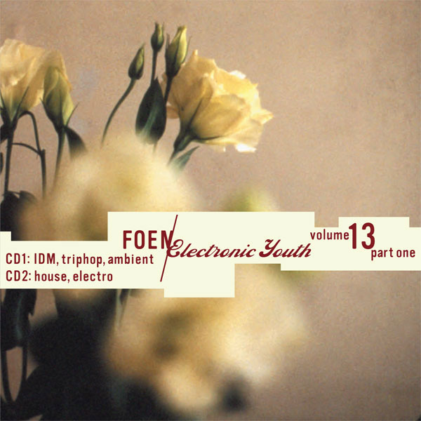 FOEM/Electronic Youth Vol. 13 - FOEM