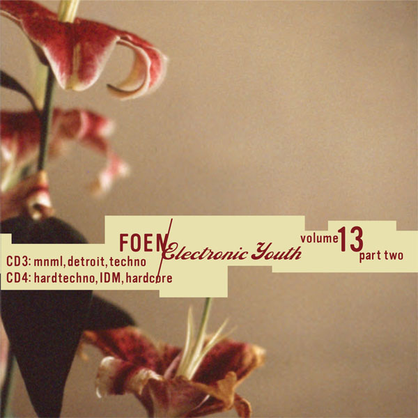 FOEM/Electronic Youth Vol. 13 - FOEM