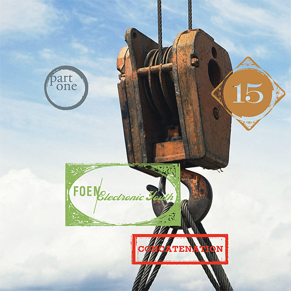 FOEM/Electronic Youth Vol. 15 - FOEM